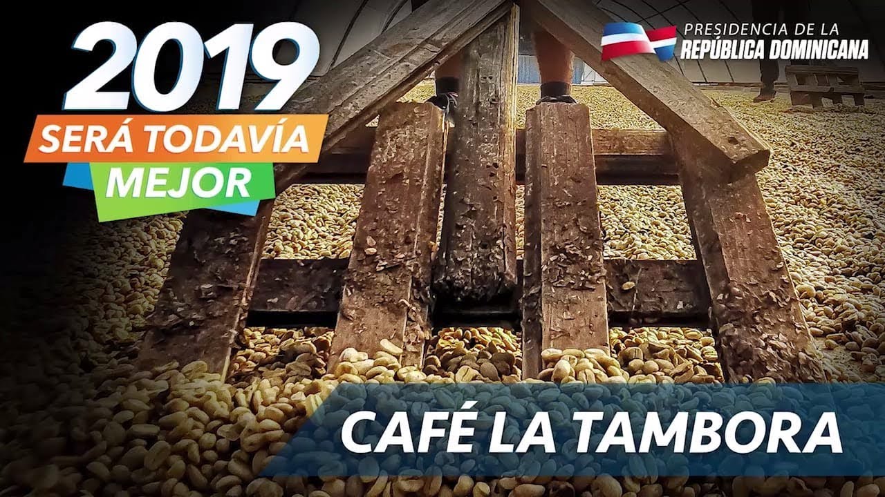 Café La Tambora, denominación de Origen Valdesia, lo producen 175 ...